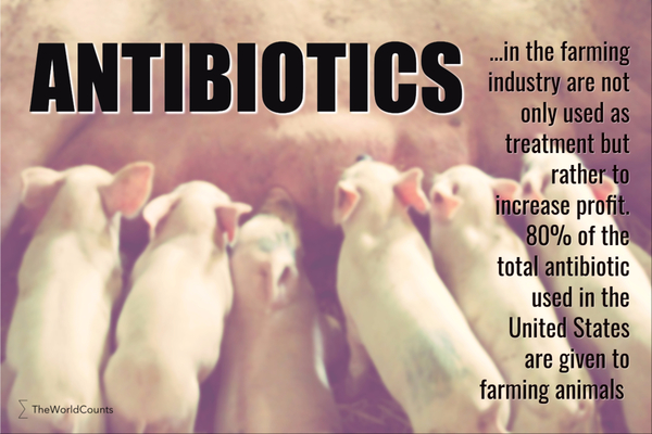 Global use of antibiotics for livestock - The World Counts
